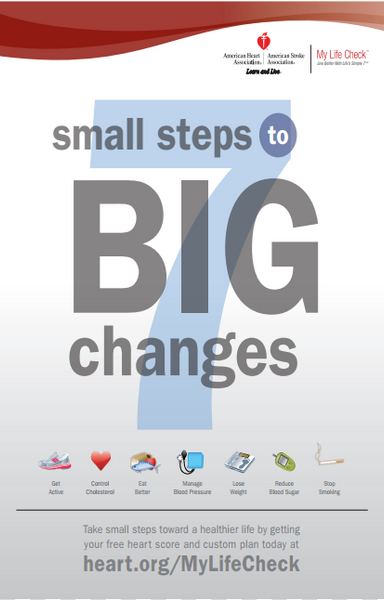 My Life Check Poster (English only) - Ships in Packages of 25, Max 4 P ...